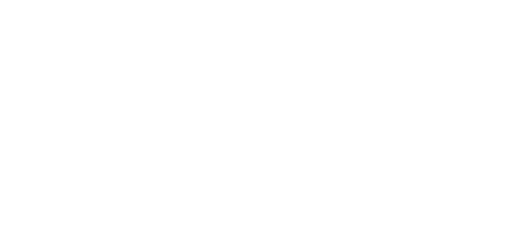 Wissenswertes - Kehrig summt