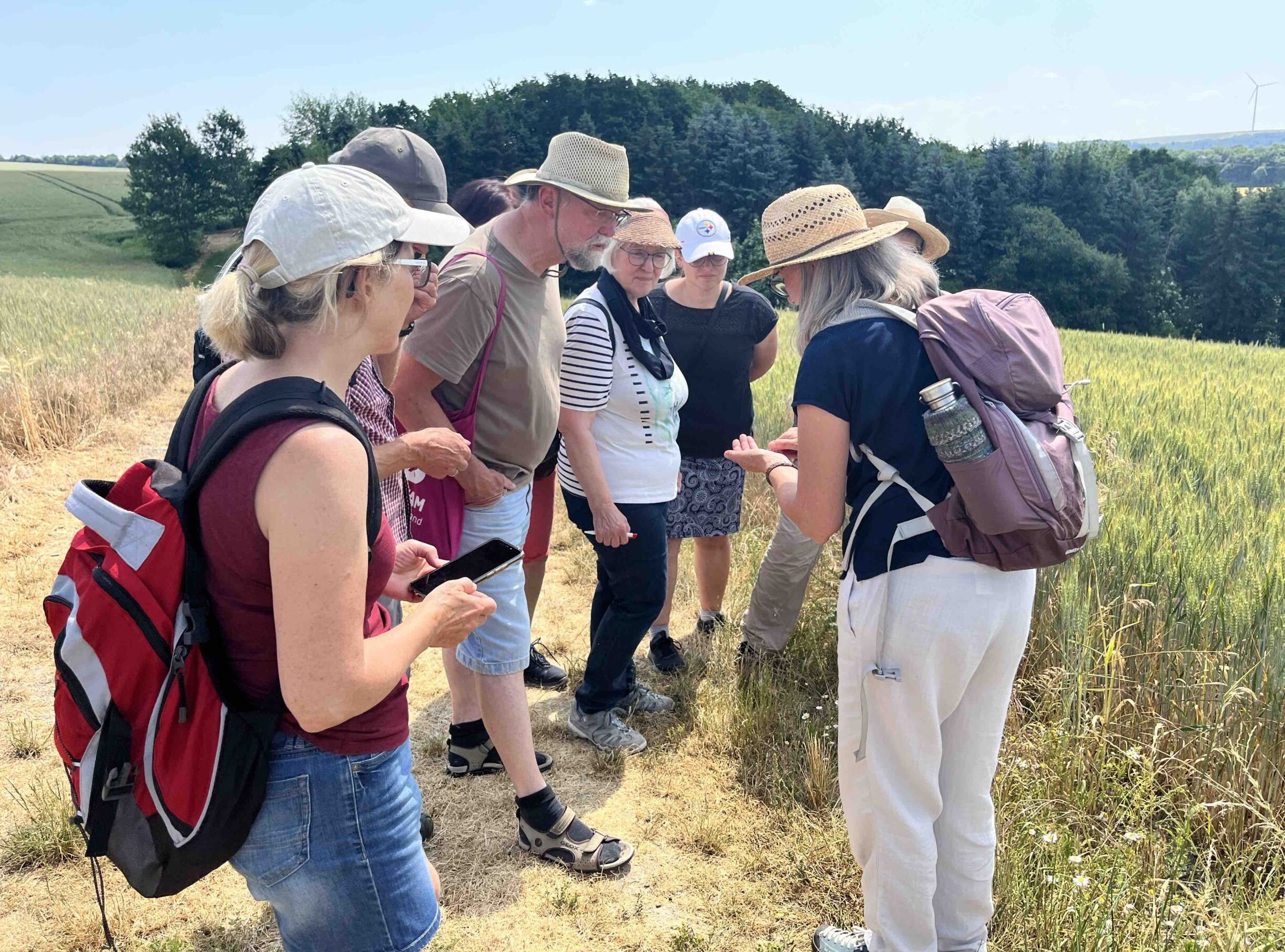 Kräuterwanderung in Kehrig - Kehrig summt