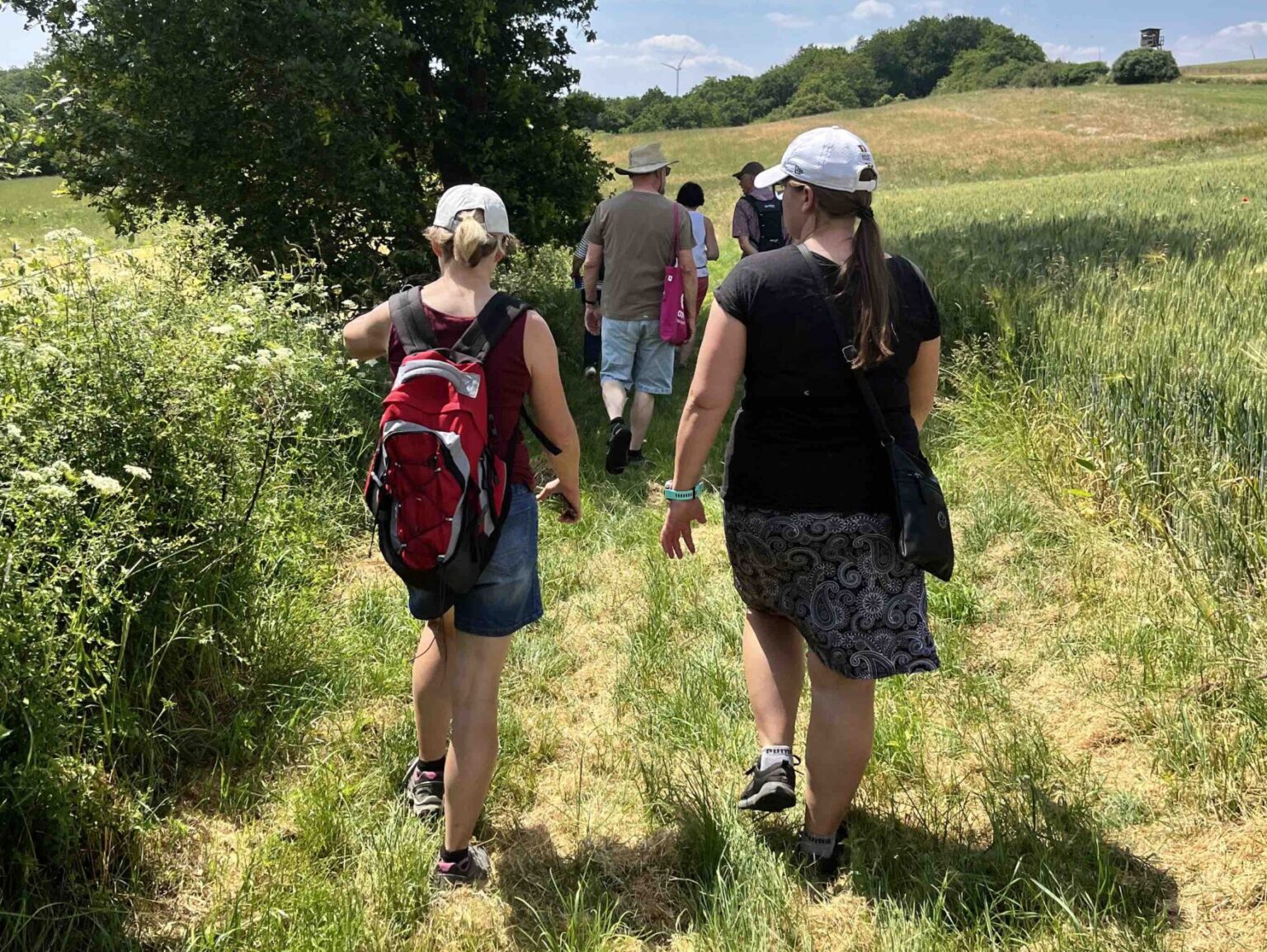 Kräuterwanderung in Kehrig - Kehrig summt